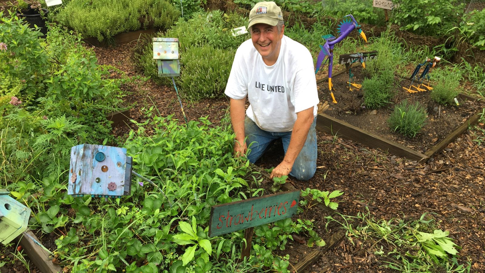Garden Guru | United Way Of Greater Atlanta